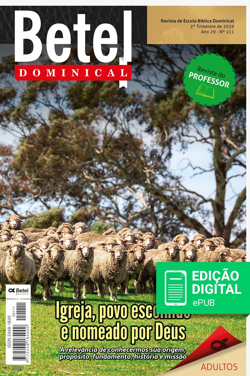 Betel Dominical - 2019 / 2º Trimestre - Professor (Digital) | Editora ...